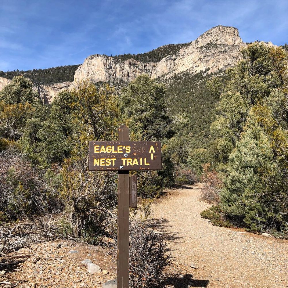 Hikes & Trails | Las Vegas, NV | Go Mt. Charleston